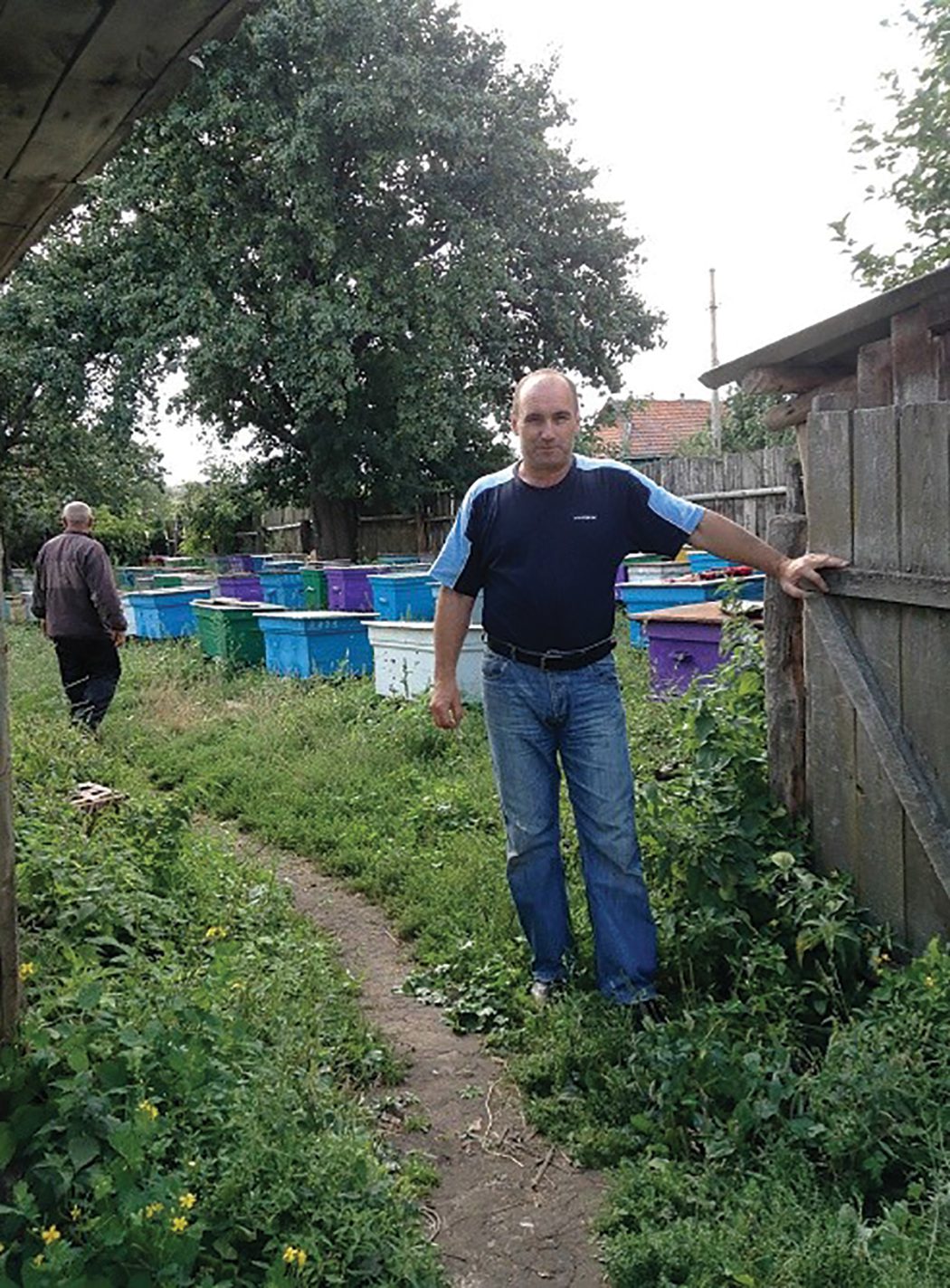 Conversations with a Ukraine Beekeeper | Bee Culture