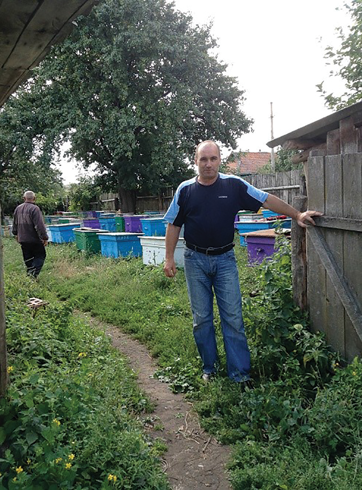 Conversations with a Ukraine Beekeeper | Bee Culture