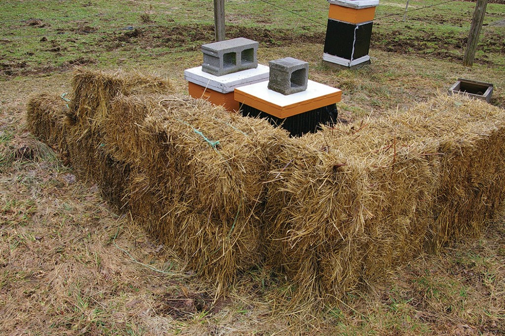 Winter Starts Today: Ignore these practices at your bees’ peril | Bee ...