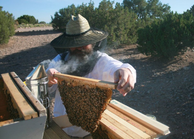 Standard Top Bars For The Beekeeper | Bee Culture