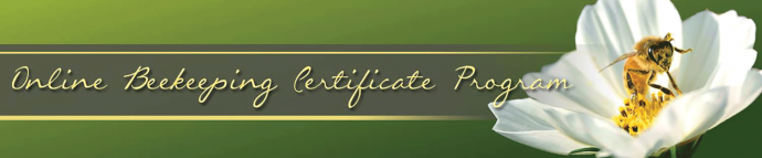 Master Beekeeping Programs | Bee Culture