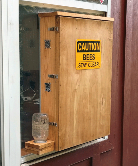 OBSERVATION HIVE HOW-TO From simple to complex, you can make these ...