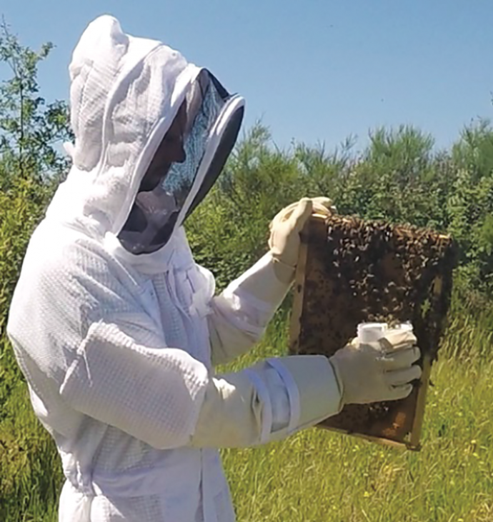 Easy Hive Monitoring | Bee Culture