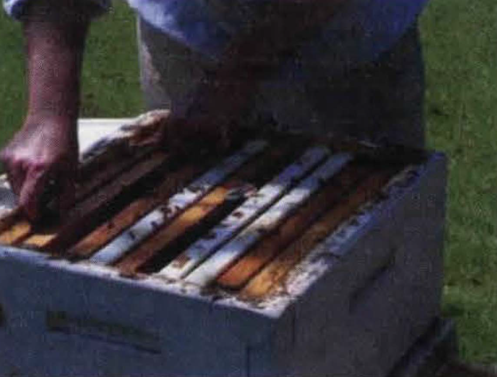 Installing Packages | Bee Culture