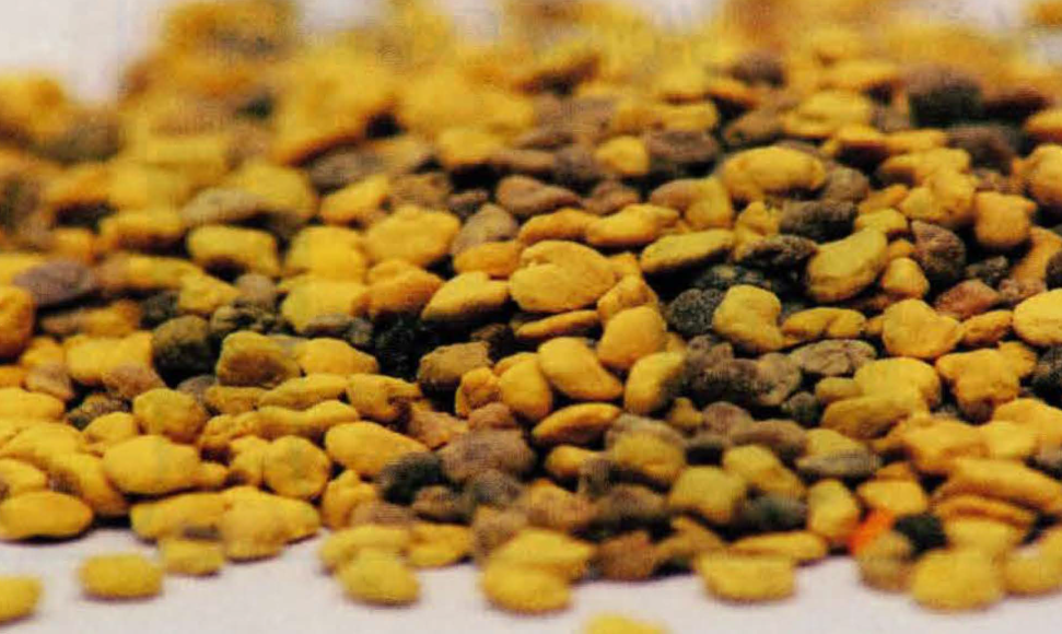 Pollen Trapping, Collection and Processing | Bee Culture