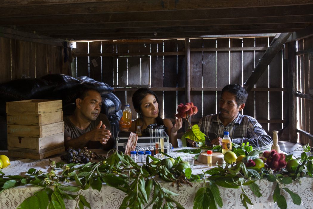 Life, Death and Stingless Bees in the Peruvian Amazon | Bee Culture