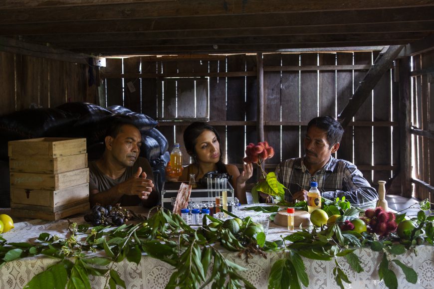 Life, Death and Stingless Bees in the Peruvian Amazon | Bee Culture