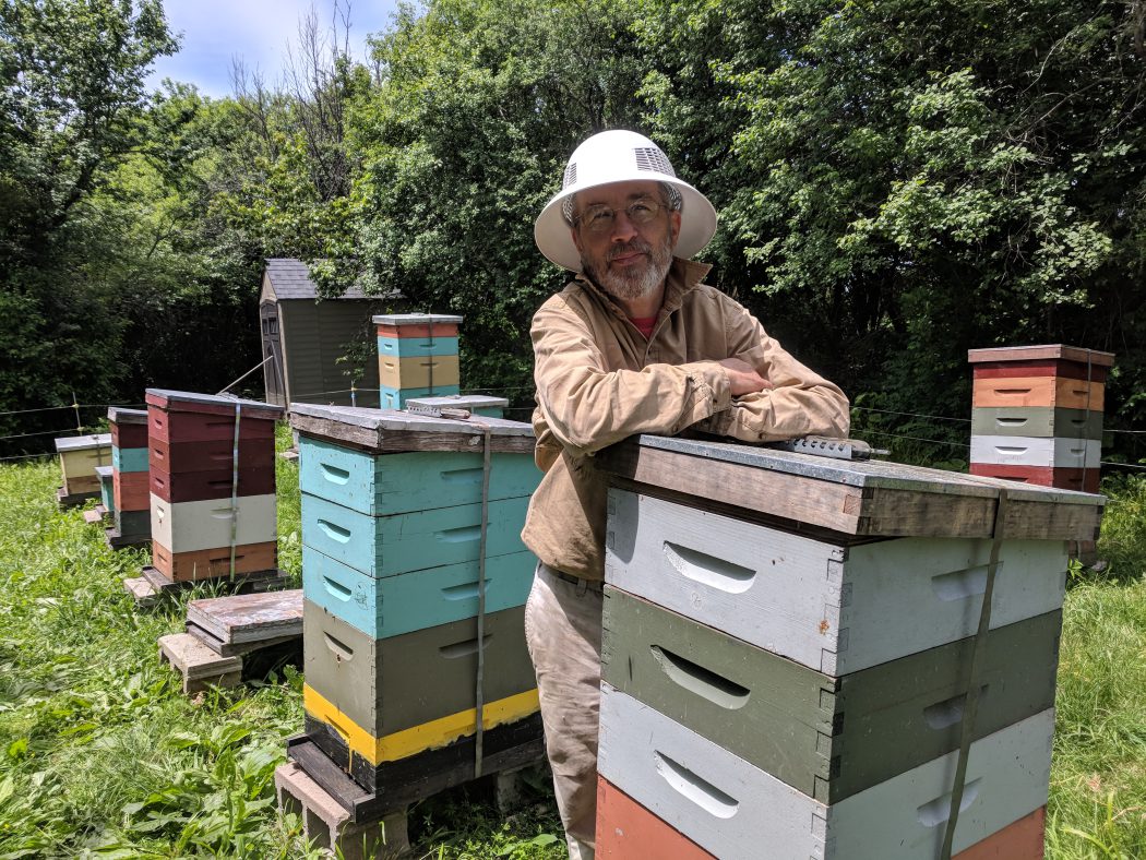 The Electrical World of the Honey Bee | Bee Culture