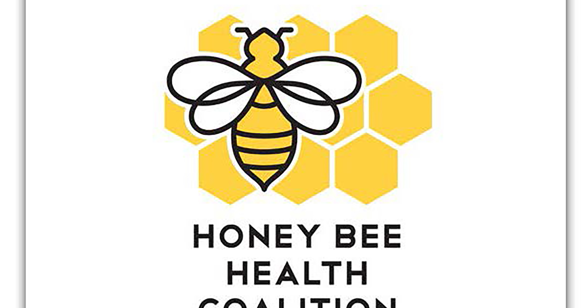 Study Hall | Bee Culture