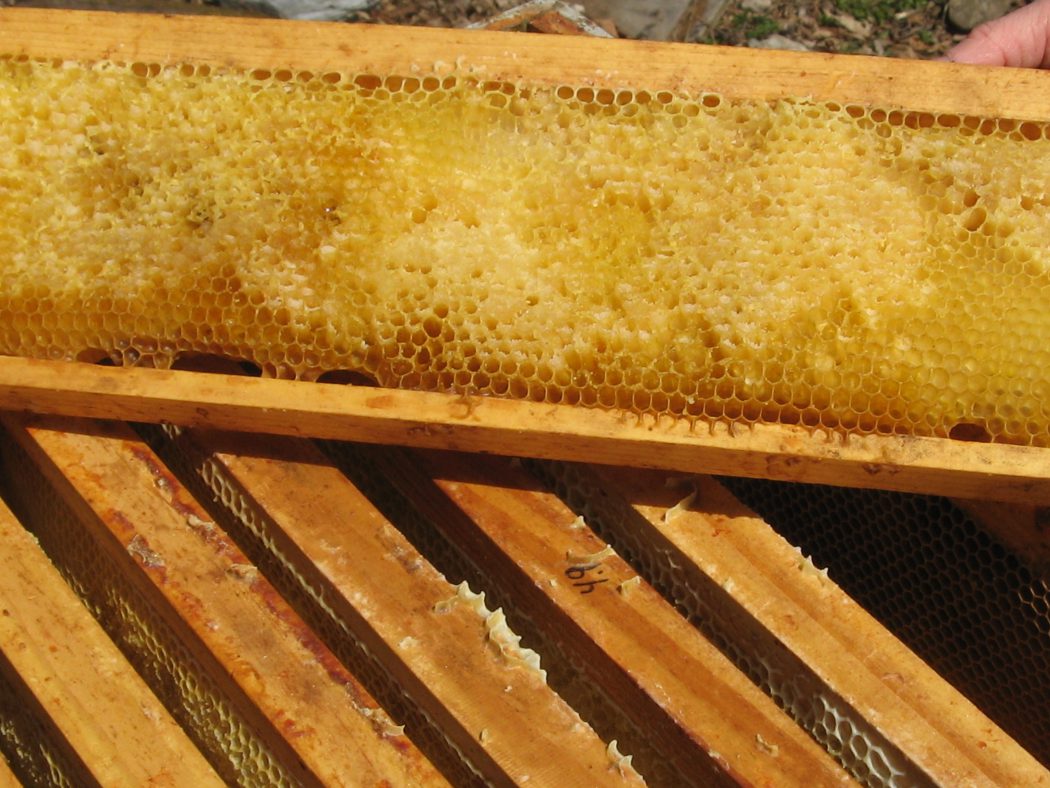 Pure Honey? | Bee Culture