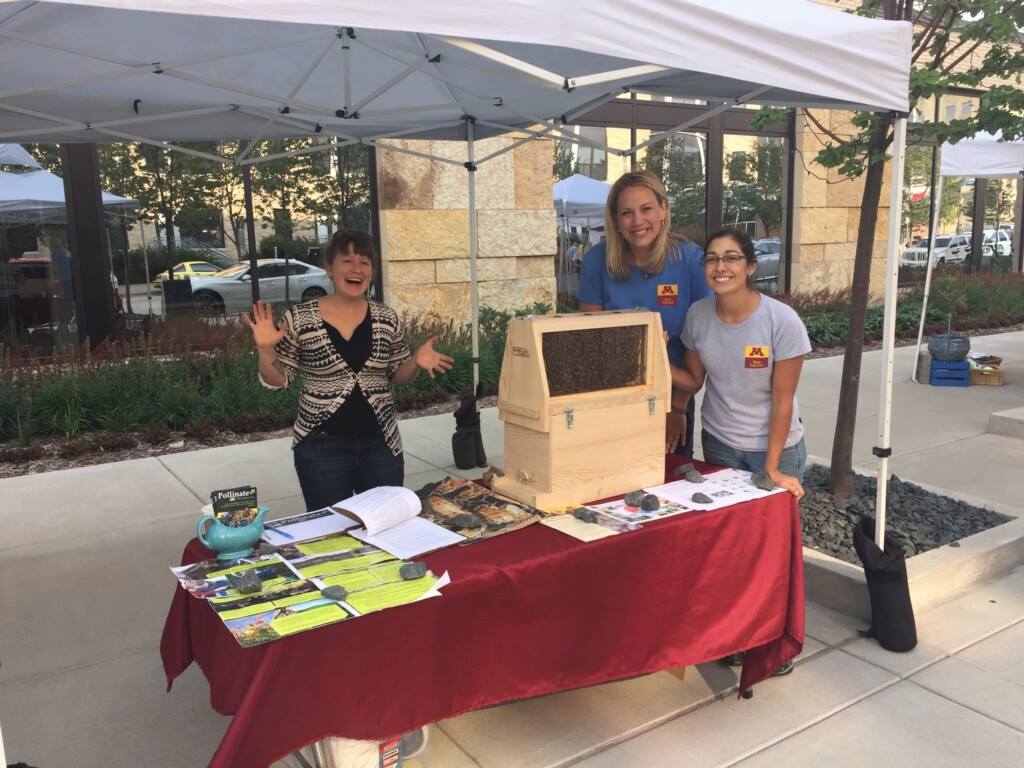 An Interview with Anne Turnham | Bee Culture