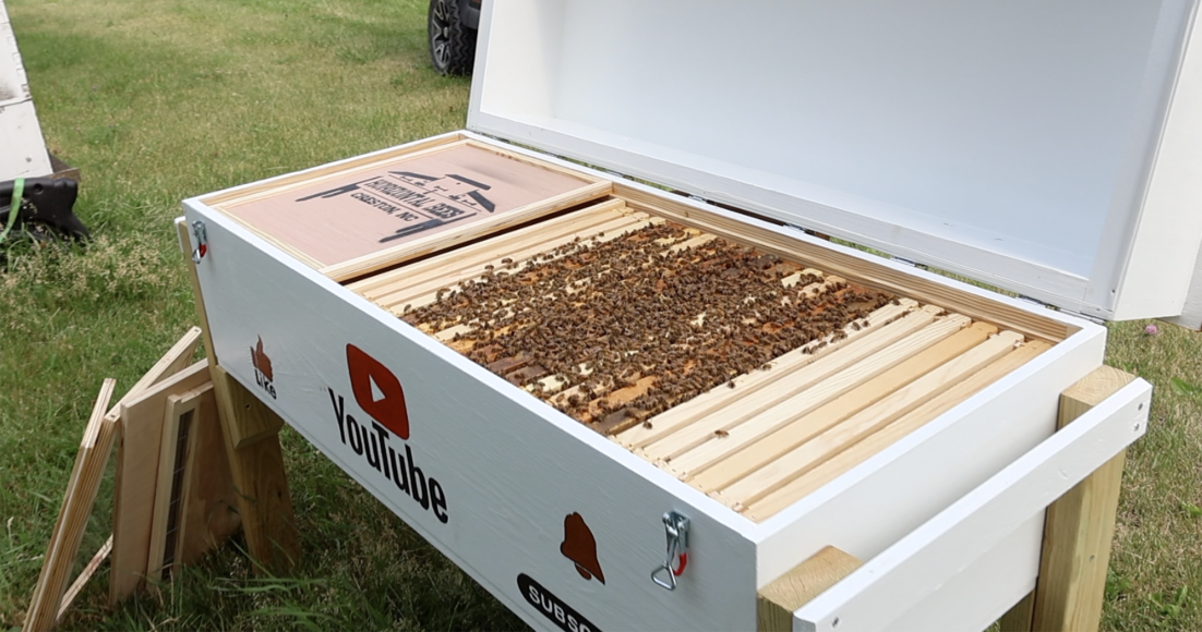 What Beekeeping Taught Me in 2023 | Bee Culture
