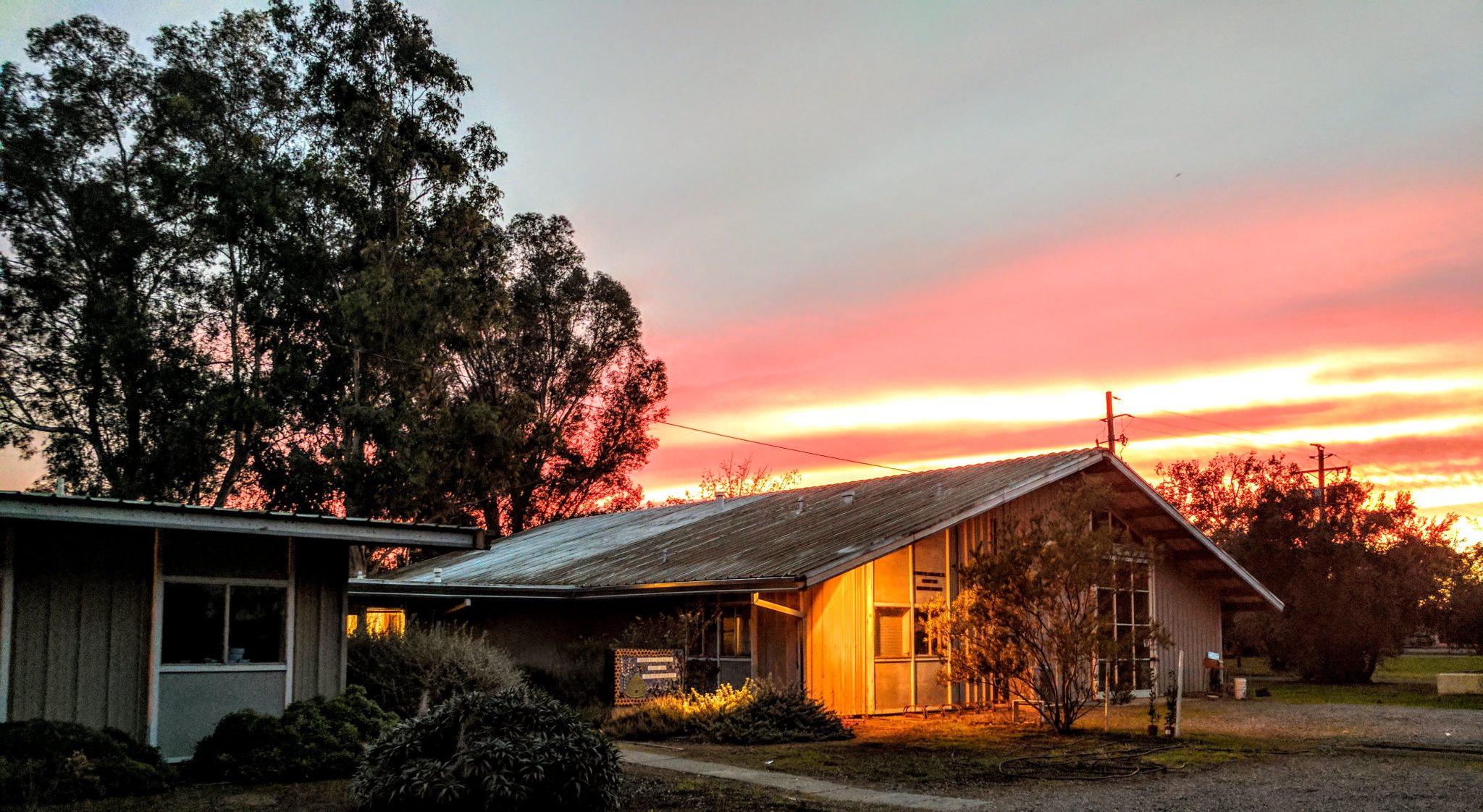 The Early Days | Bee Culture