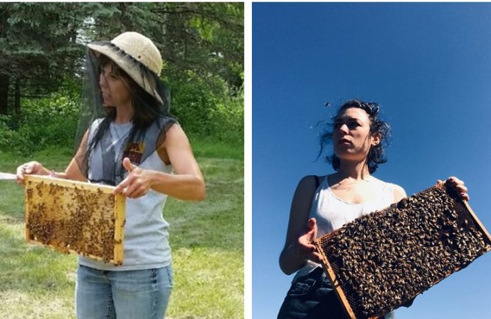 Minding Your Bees and Cues | Bee Culture