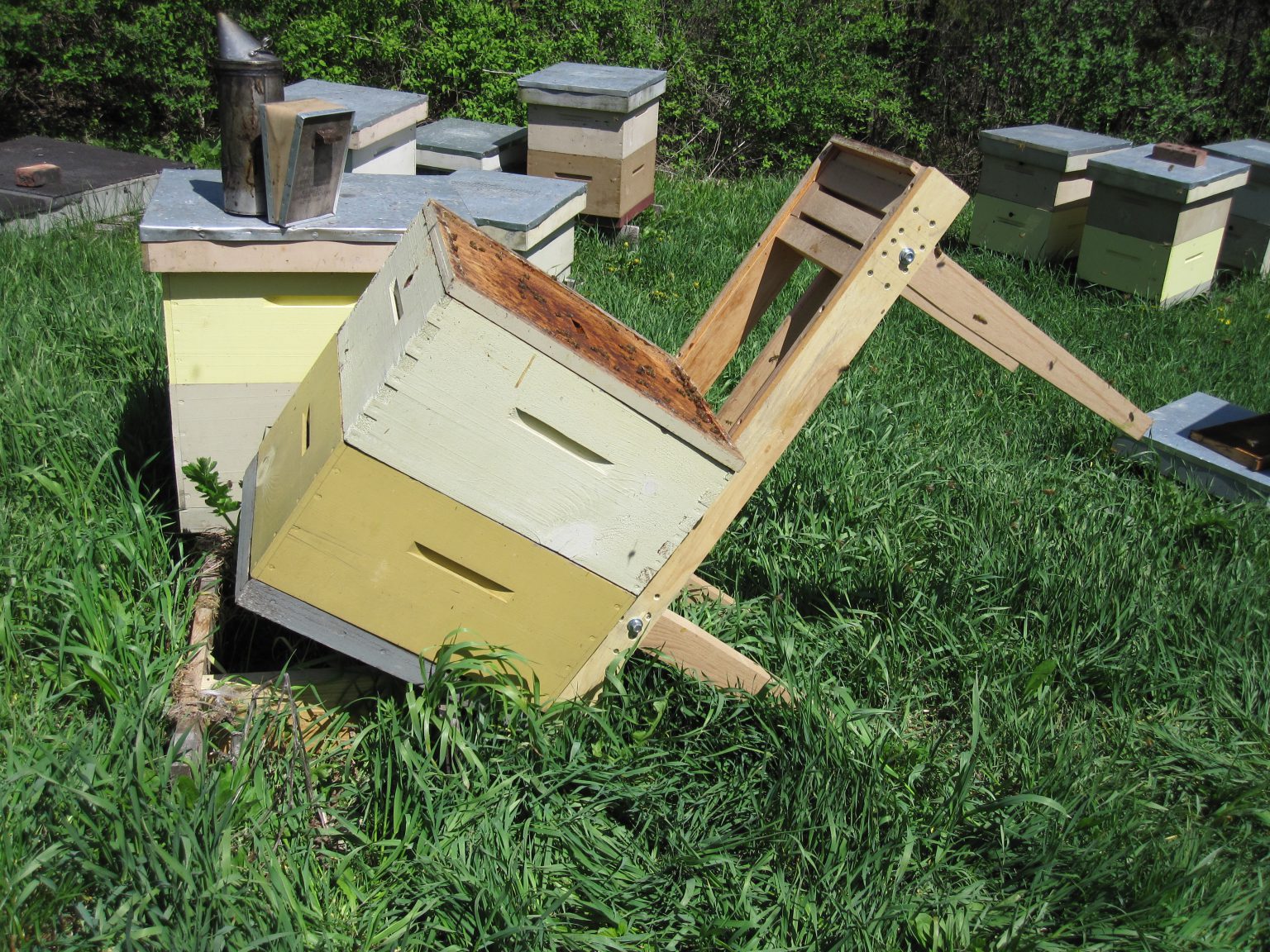 Adaptive Beekeeping | Bee Culture