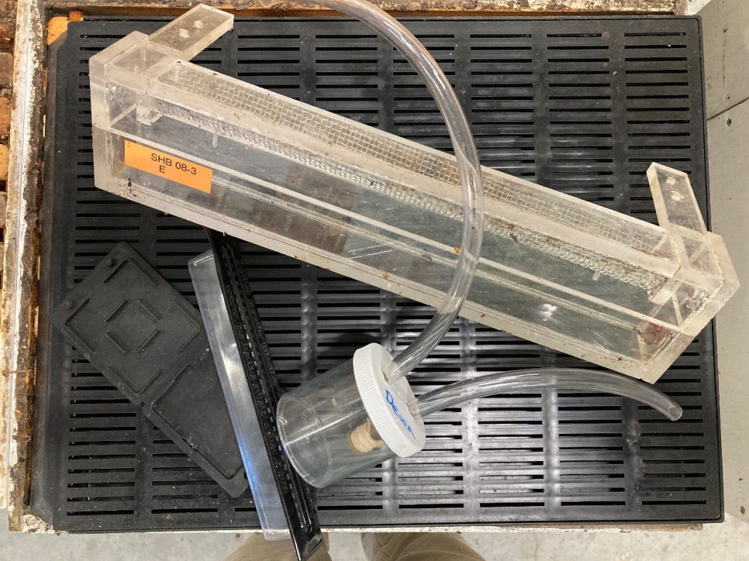 What Does It Take to Run a Honey Bee Laboratory? | Bee Culture