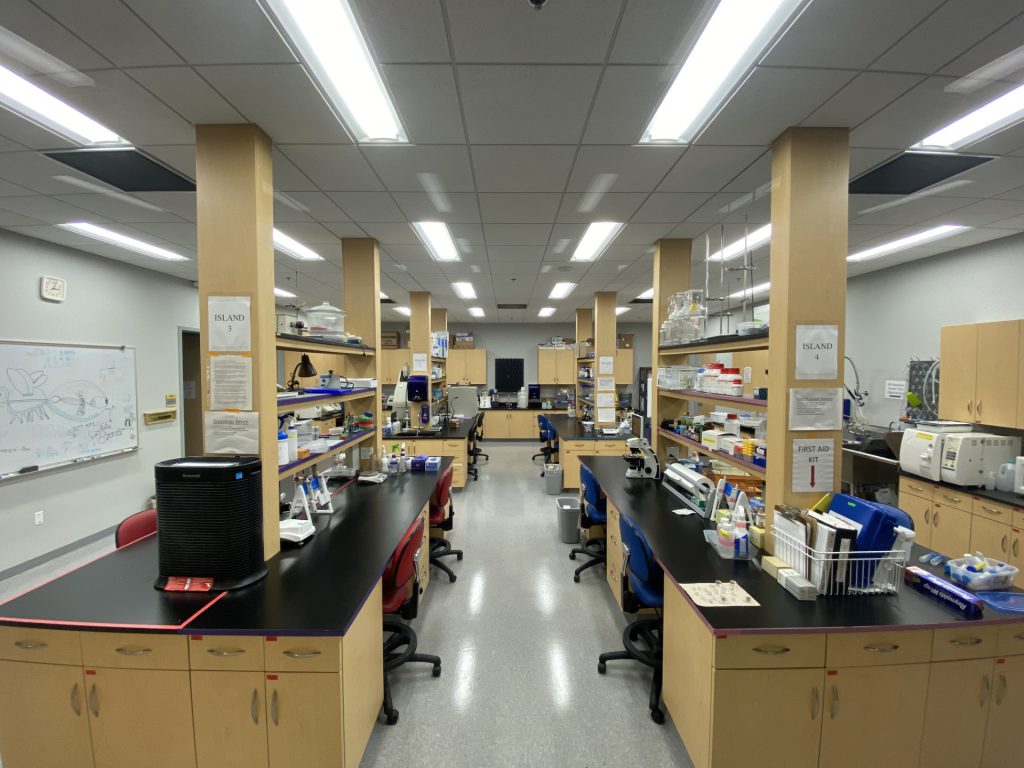 The University of Florida Honey Bee Laboratory Facilities | Bee Culture