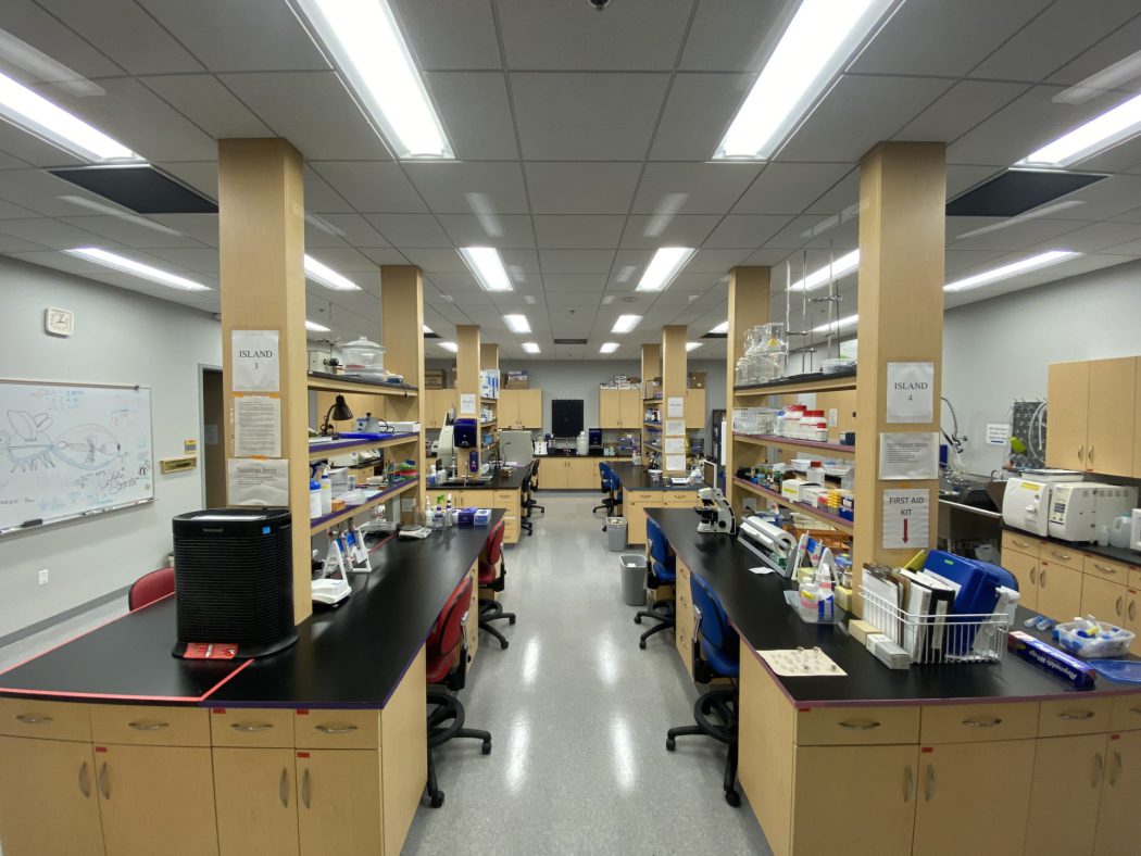 The University of Florida Honey Bee Laboratory Facilities | Bee Culture