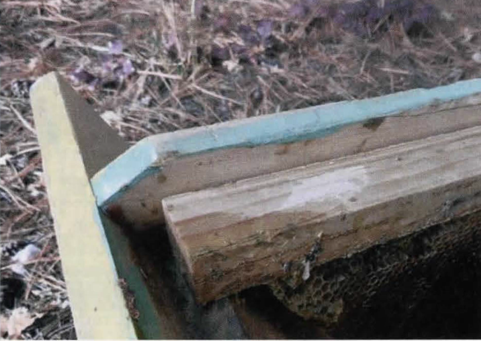 The Kenyan Top Bar Hive | Bee Culture