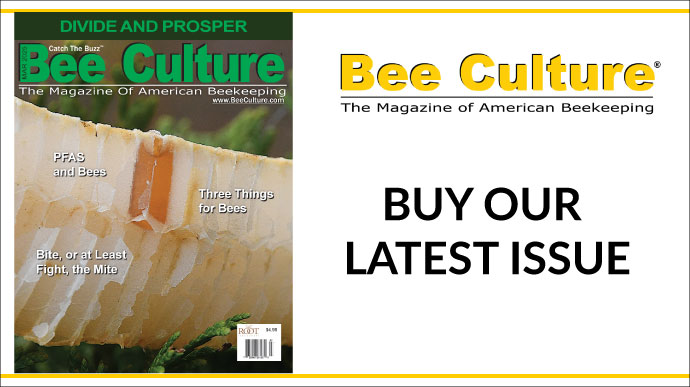 Bee Culture