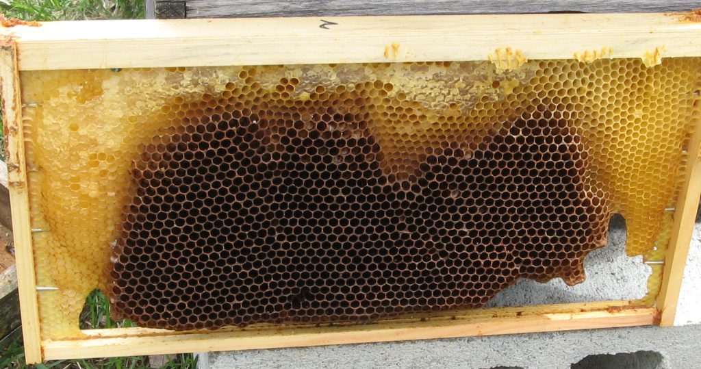 Supering | Bee Culture