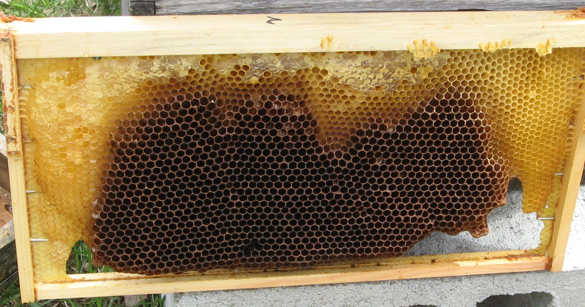 Supering | Bee Culture